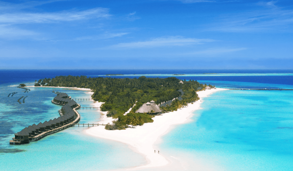 Best Dive Resorts in the Maldives: Vilamendhoo, Kuredu & Komandoo ...